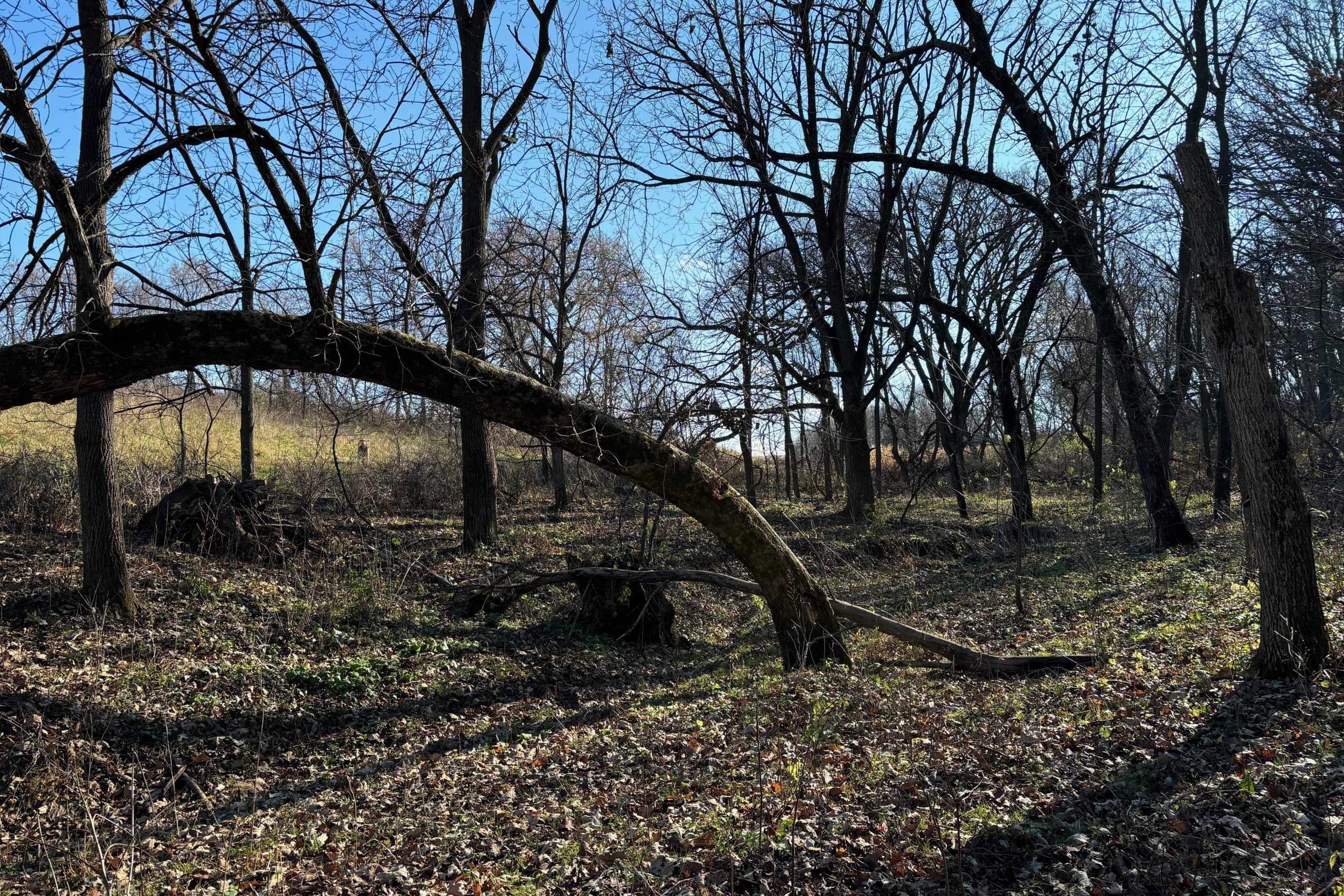 Key Ingredients for Edge-of-Field Practice Implementation Include ...